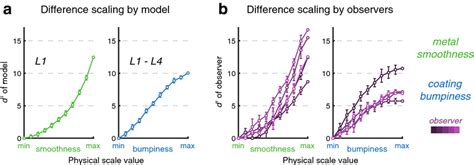Comparison Of Computational Models And Observers For Difference Scaling