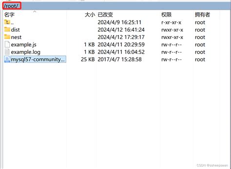 Nestjsnuxt实战（二），部署服务端完整流程，以及爬坑的详细过程nestjs部署 Csdn博客