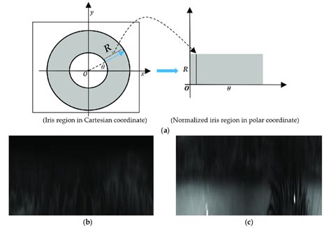 Normalization Method Of Inner And Outer Iris Regions A Normalization