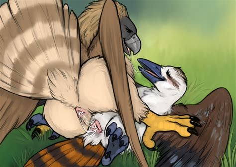 Rule 34 Accipitrid Accipitriform Ambiguousambiguous Ambiguous Gender