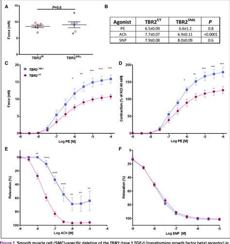 Figure 2 From Blockade Of Tgf β Transforming Growth Factor Beta Signaling By Deletion Of