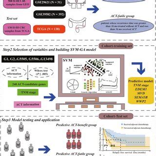 Outline Of The SVMGA Model Flow Download Scientific Diagram