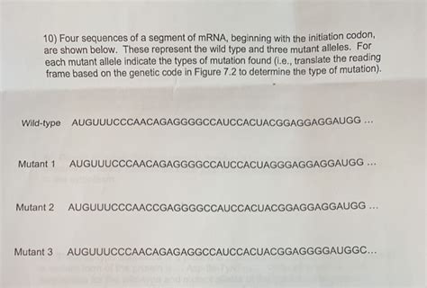 solved 10 four sequences of a segment of mrna beginning