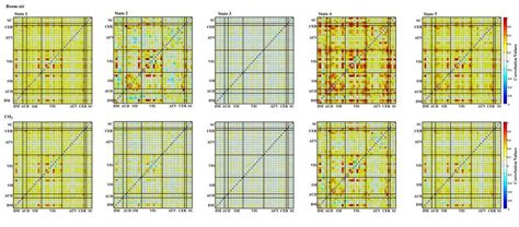 The Mean Dynamic Fnc Maps For Both Room Air Top Row And Co 2 Bottom