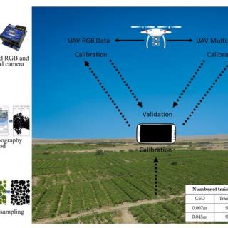 An Overview Of Workflow In This Study And Datasets Used For Download Scientific Diagram