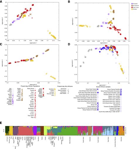 Whole Genome Sequencing Reveals A Complex African Population Demographic History And Signatures