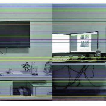 Stereo Correction Effect Download Scientific Diagram