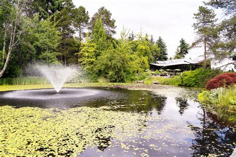 Vandusen Botanical Gardens Vancouver What To See And Where To Eat