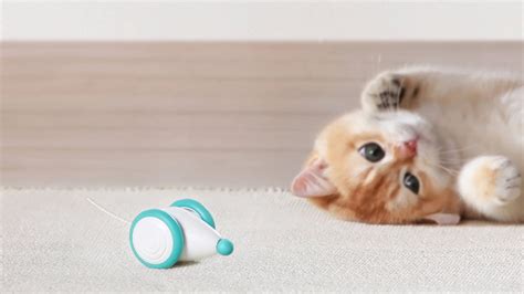 Petlibro Pixie Mouse Interactive Cat Toy Stimulates Your Kittys