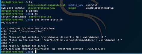 Hack The Box Traverxec の Write Up Coldsnap の Blog