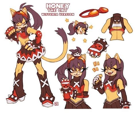 Sonic Honey The Cat Character Art Furry Art