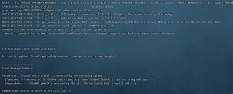 多卡 单卡OCR训练错误 no kernel image is available for execution on the device Issue