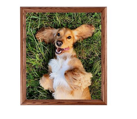 Arttoframes 13 X 19 Honey Oak Picture Frame 13x19 Inch Brown Wood