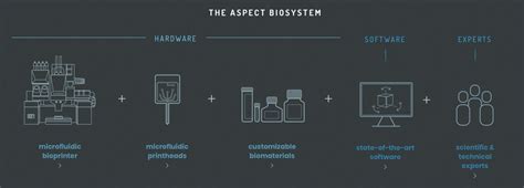 Aspect Biosystems Raises 20m For Human Bioprinting Longevity Technology Latest News