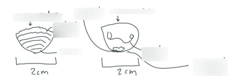 Lab 1 B Diagram Quizlet