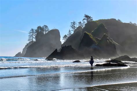 Hidden Beaches Of Washingtons Puget Sound Touristsecrets