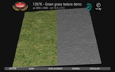 Green Grass Texture Seamless 12976 Green Grass Texture Seamless 12976