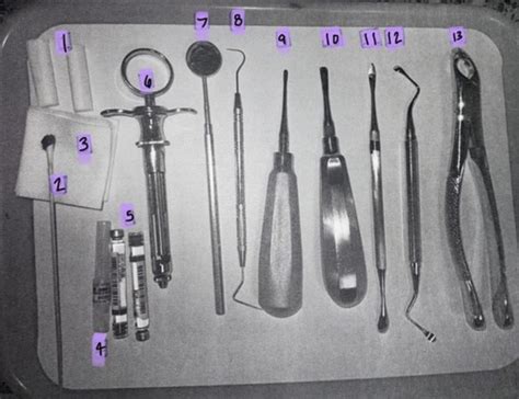 Extraction Tray Diagram Quizlet