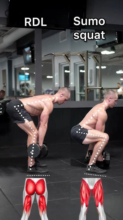 Db Rdl Targets Glutes And Hamstrings Db Sumo Squat Targets Glutes