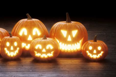 600 Pumpkin Pictures