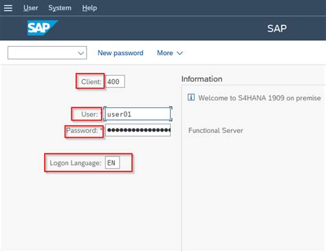 How To Log In And Log Off To The SAP System