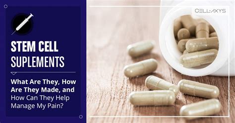 Stem Cell Supplements Supplements That Support Mesenchymal Stem Cell