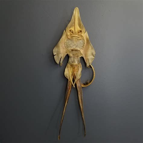 Sea Monster Jenny Haniver Skullstore Inc