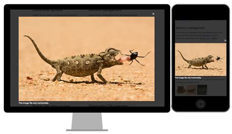 Powerful Responsive Lightboxes IDevie