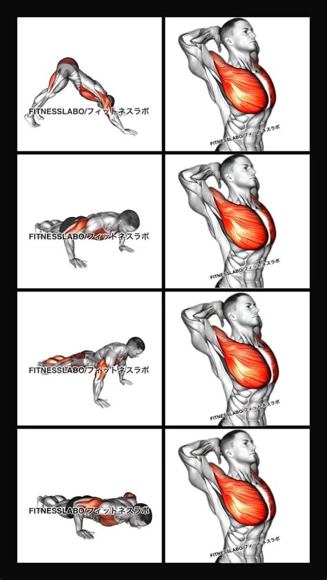 Chest Workout ボディビル ワークアウト 筋トレ