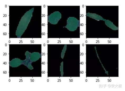 使用Python OpenCV Keras实现植物幼苗分类 附python演练 知乎