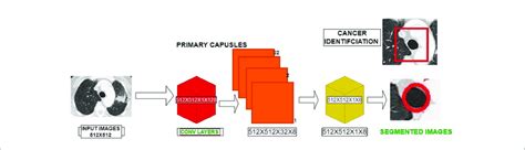 capsule architecture for the saliency based segmentation download