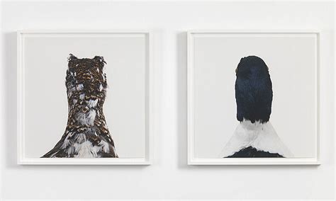 Roni Horn Aka Roni Horn Whitney Museum Of American Art
