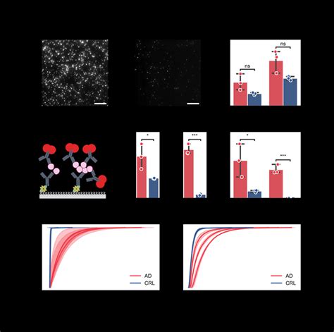 Quantification And Characterization Of Tau Aggregates In Human Brain