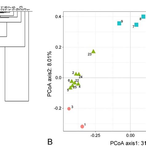 The Clustering Dendrogram A And Principle Coordination Analysis Download Scientific Diagram