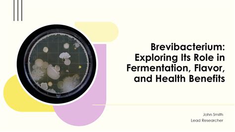 Top 10 Fermentation Ppt Templates With Examples And Samples