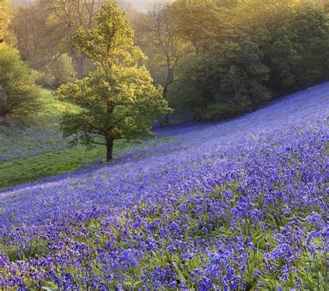 Pin By Julia Hugg On Things Of Beauty Beautiful Landscapes Landscape