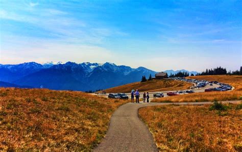 Hiking Hurricane Ridge In Olympic National Park Wildlife And Beautiful View
