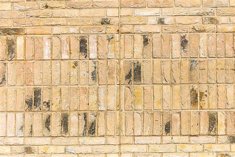 Alemouth Road Travel Lodge Hexham BDA