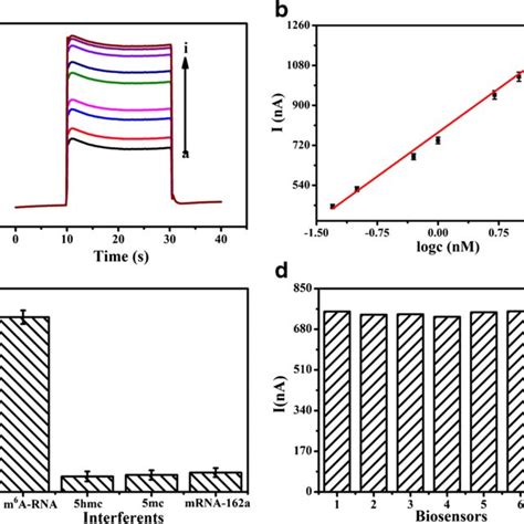 A The Pec Response Of The Immunosensor With Different Concentrations