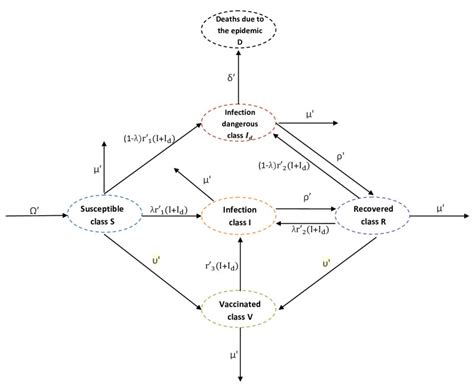 A Novel Discrete Time COVID Epidemic Model Including The Compartment Of Vaccinated Individuals