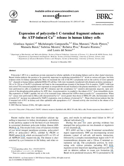 Pdf Expression Of Polycystin 1 C Terminal Fragment Enhances The Atp