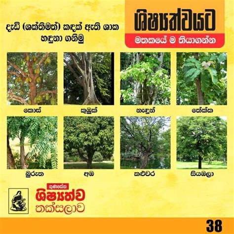 අපේ පාඨශාලාව අපේ පාඨශාලාව Added A New Photo