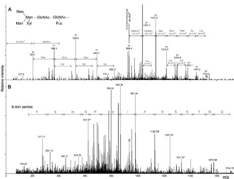 Typical Mass Spectrometric Collision Induced Dissociation Fragmentation