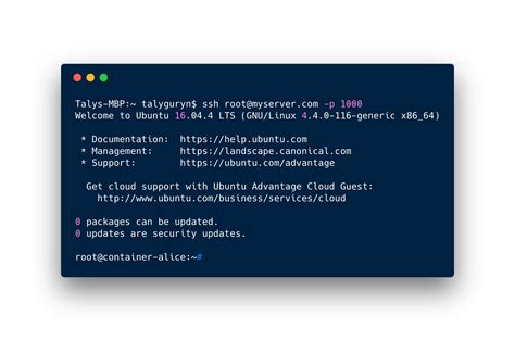Маршрутизация Lxc и доступ к контейнерам по Ssh