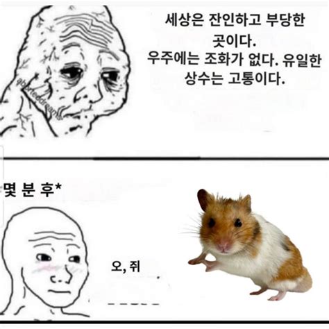 아는 만큼 보이는 요즘 밈 모음