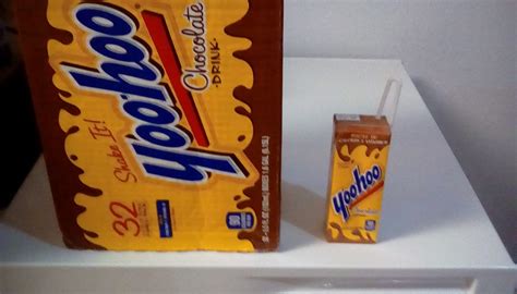 2mo Finance Yoo Hoo Chocolate Drink 65 Fl Oz Boxes Pack Of 32