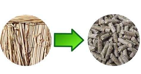 Rice Straw Pellet Machine Making Rice Straw Into Fuel Pellets