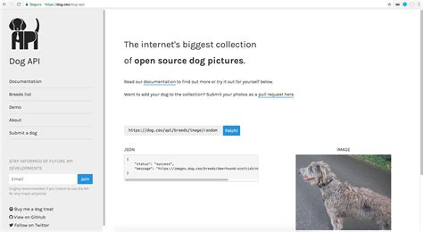 Web Components Con Angular Elements By Nicolás Avila Angular Chile Medium