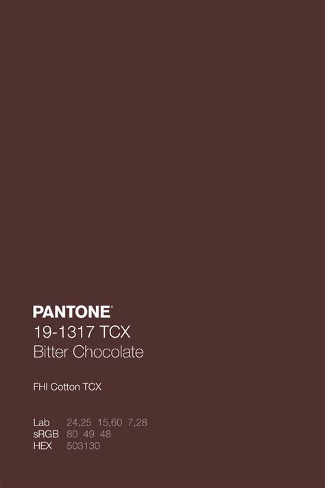 Chocolate Color Swatch