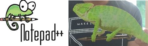 we found him lads r programmerhumor
